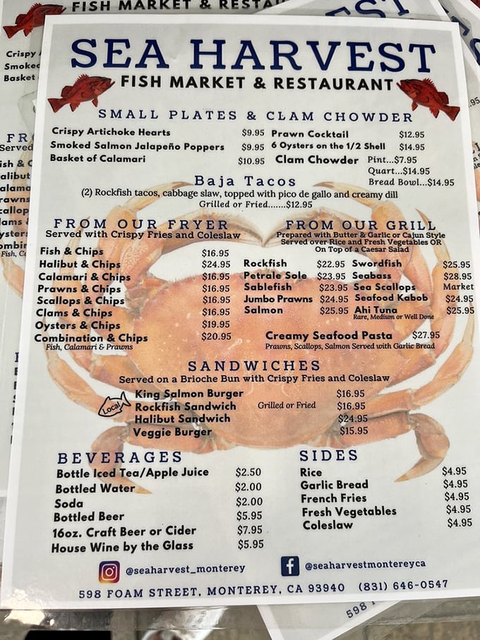 A menu that reads like coastal poetry—where the star ingredients need little embellishment and the prices won't send you swimming for shore.