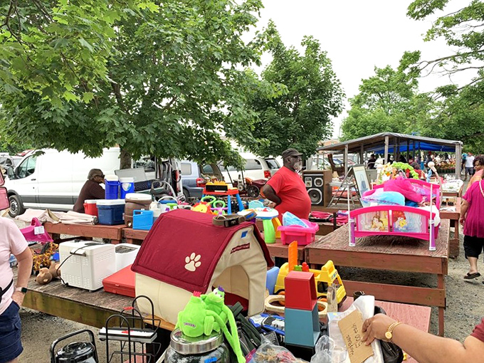 One shopper's castoffs become another's must-haves at the outdoor market—those colorful pet beds might finally convince Fluffy to stop sleeping on your clean laundry.