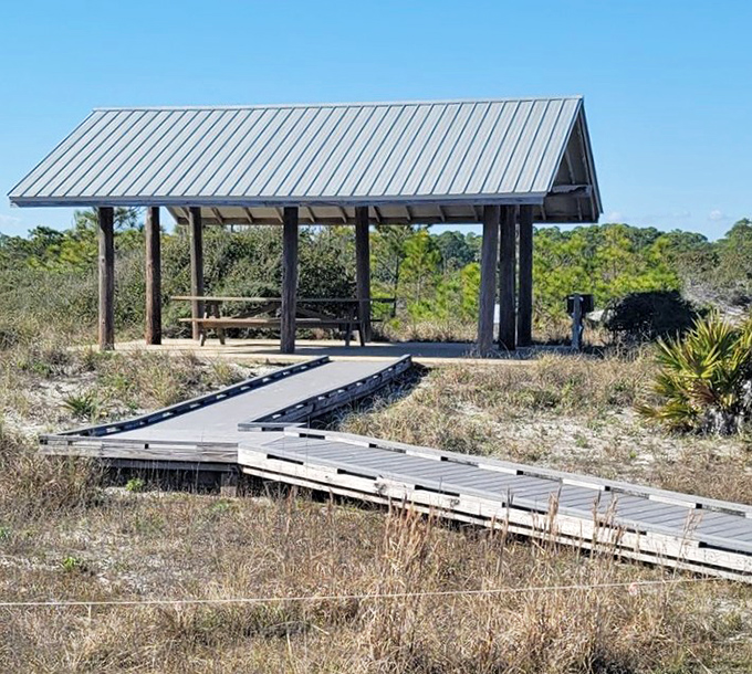 The Panhandle's version of five-star dining—a shaded pavilion where sandwiches somehow taste better than at any fancy restaurant in Manhattan.