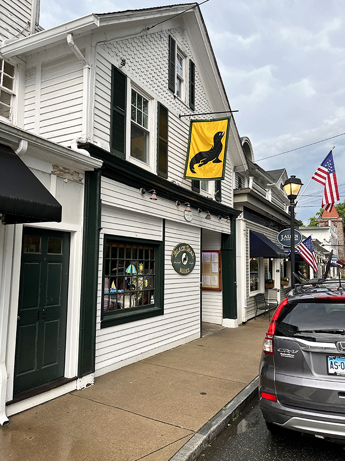 That yellow seal flag isn't just decoration – it's practically the town mascot, watching over shops where you'll find treasures you never knew you needed.