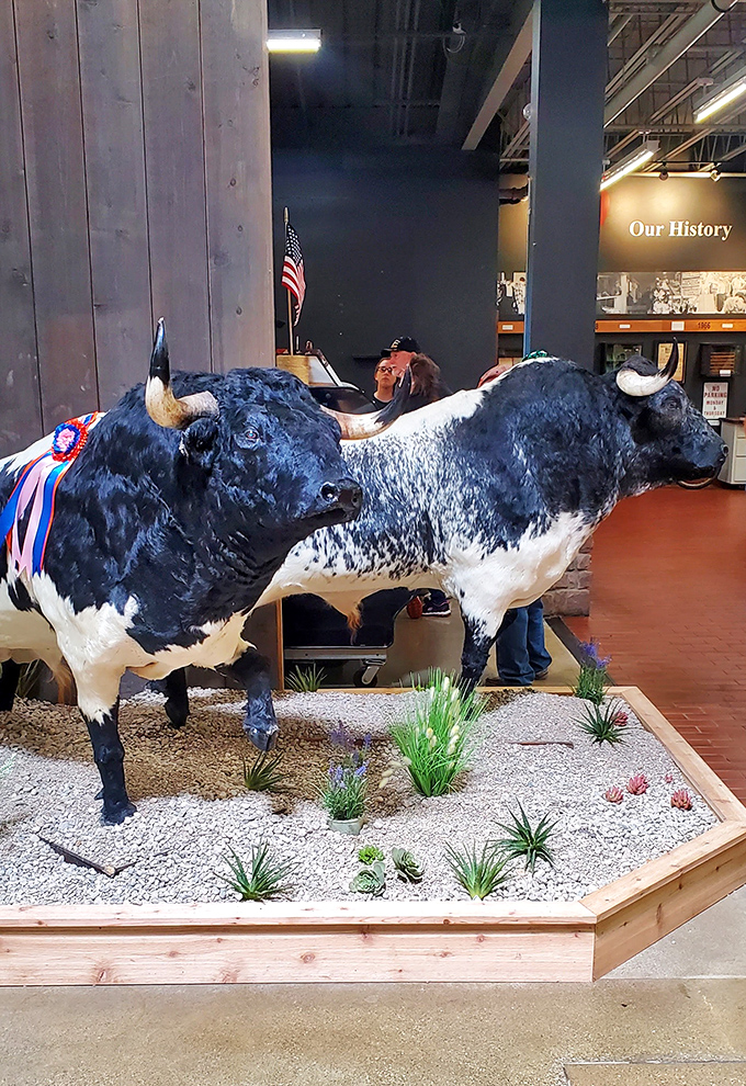 Not your average marketplace decor! These impressive bull sculptures pay homage to Ohio's agricultural heritage while giving visitors a perfect photo opportunity.