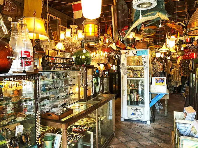 Step inside and prepare for sensory overload – chandeliers hang alongside fishing buoys while display cases brim with treasures that would make Neptune himself jealous.