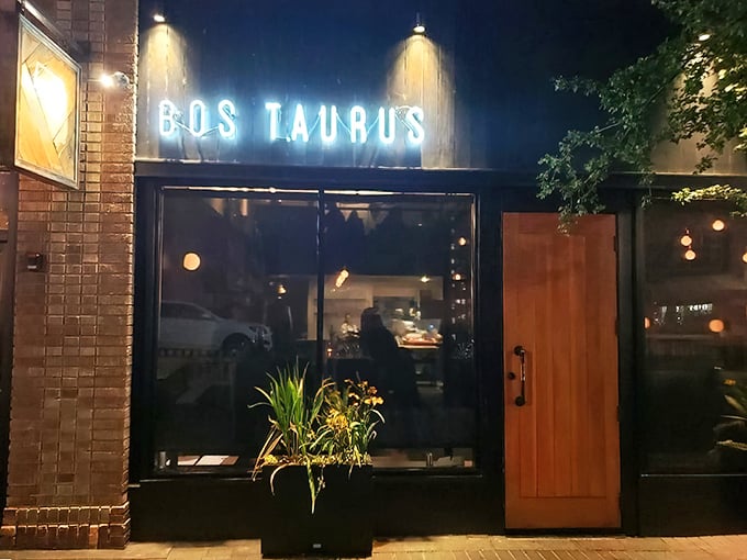 Bos Taurus announces itself with cool confidence – like that friend who doesn't need to brag because their cooking speaks volumes.