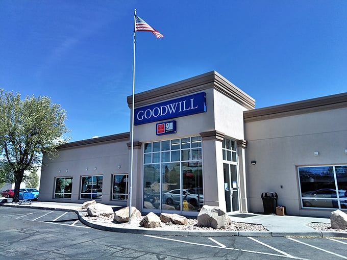 Goodwill's spacious parking lot fills daily with hopeful hunters. Inside, yesterday's trends wait for their comeback moment.