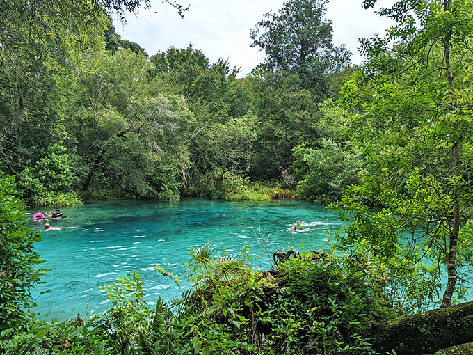 Ichetucknee's pristine waters offer Florida's best natural lazy river experience—no artificial wave machines required!