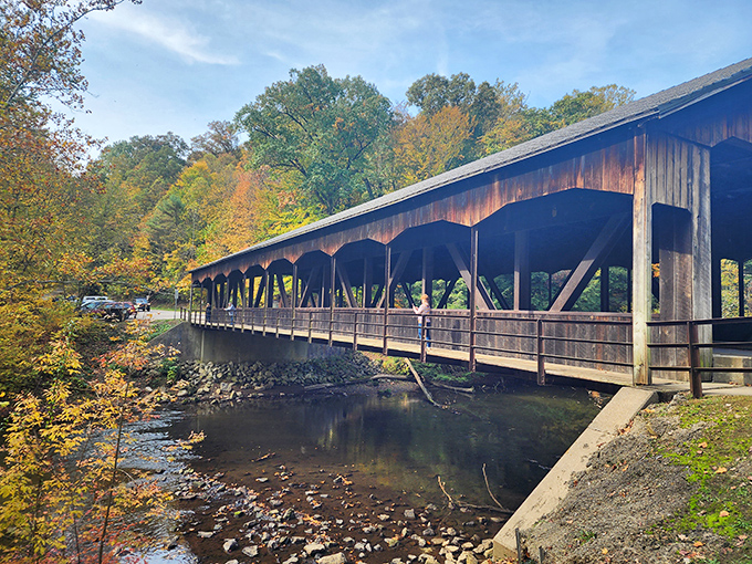 Mohican State Park: "Valley views that make your heart skip. Where Ohio suddenly decides to show off its landscape architecture skills."