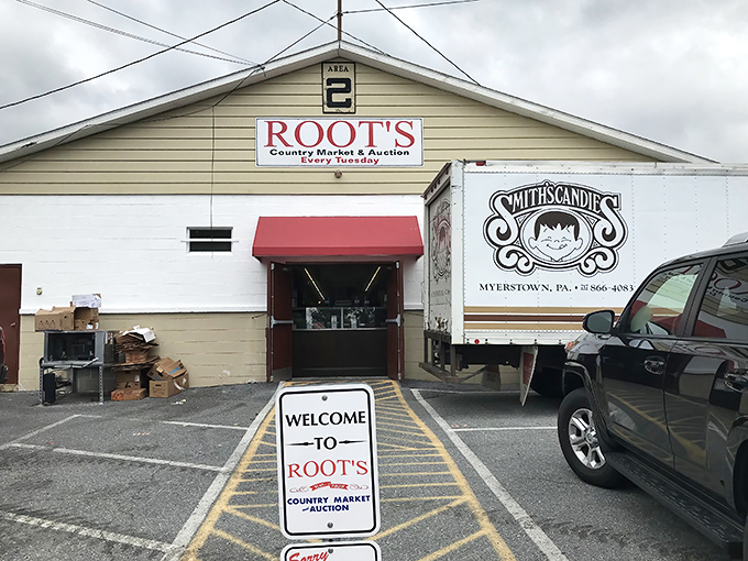 Welcome to Root's—where 'country market' is code for 'temptation at every turn.' Tuesday's never looked so inviting!
