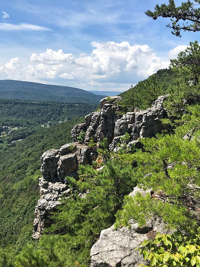 Wills Mountain's rocky overlook – where eagles soar below you and the world stretches out like a living map.
