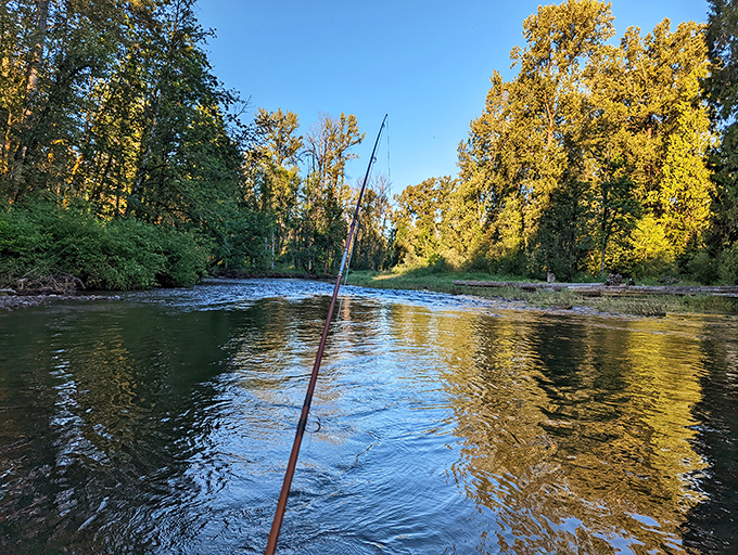 Nature's own meditation studio – the gentle flow of water through Bonnie Lure creates the perfect soundtrack for serenity.