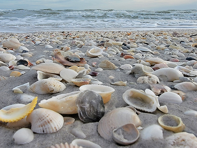 Sanibel's golden sands and playful waves at Bowman's Beach—nature's perfect recipe for losing track of time.