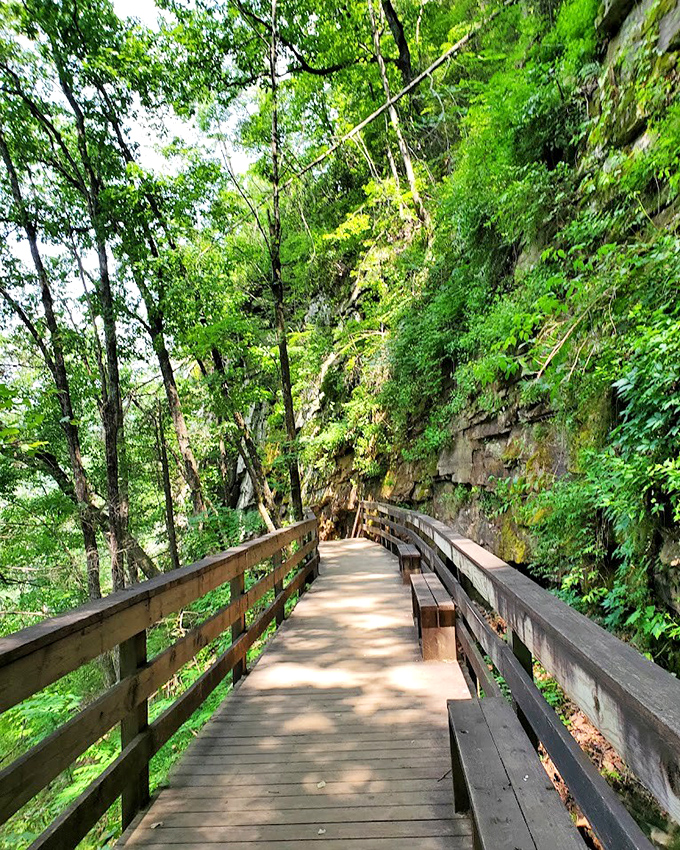 Cloudland Canyon's wooden walkway invites you into a green cathedral – where the sermon is written in leaves and light.