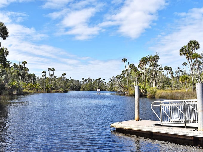 Palm trees standing tall like nature's welcoming committee. This waterway view at Econfina River is Florida's version of meditation.