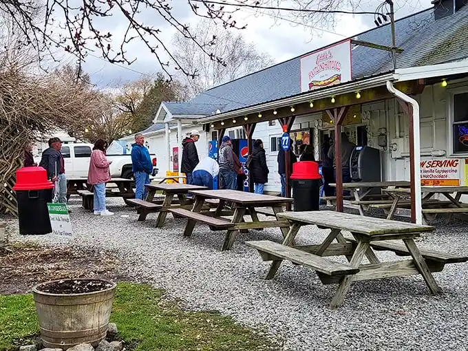 Picnic tables, blue skies, and hot dogs worth pulling over for—Eddie's is the roadside attraction your taste buds deserve.