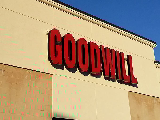 The bold red Goodwill sign stands out against the beige building—a beacon for bargain hunters across Rochester.