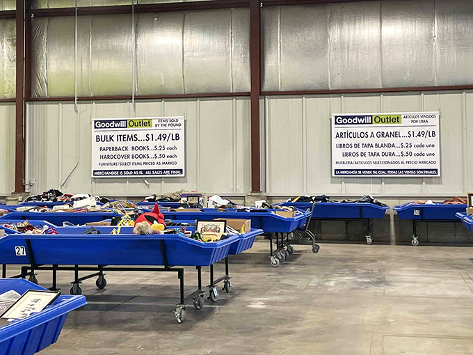 Blue bins of possibility—Goodwill's by-the-pound treasure troughs where patient diggers are rewarded with unexpected discoveries.