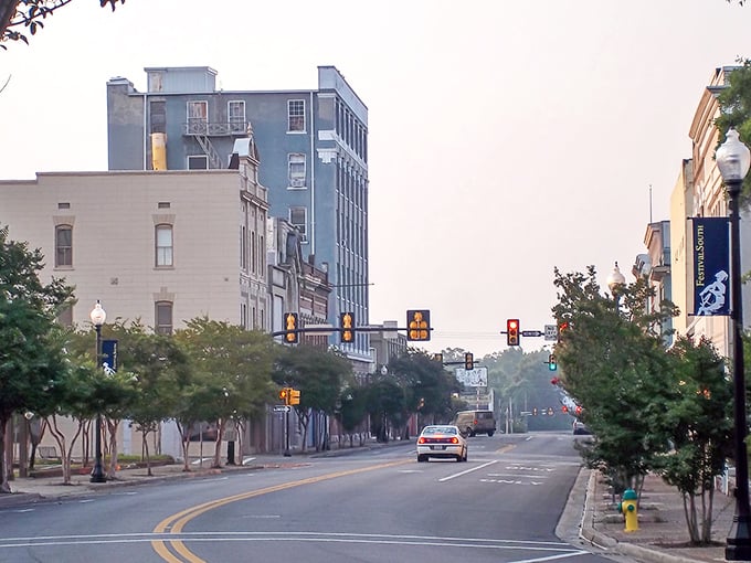 Tree-lined streets and historic storefronts create Hattiesburg's welcoming vibe – where your Social Security check buys more than just necessities.