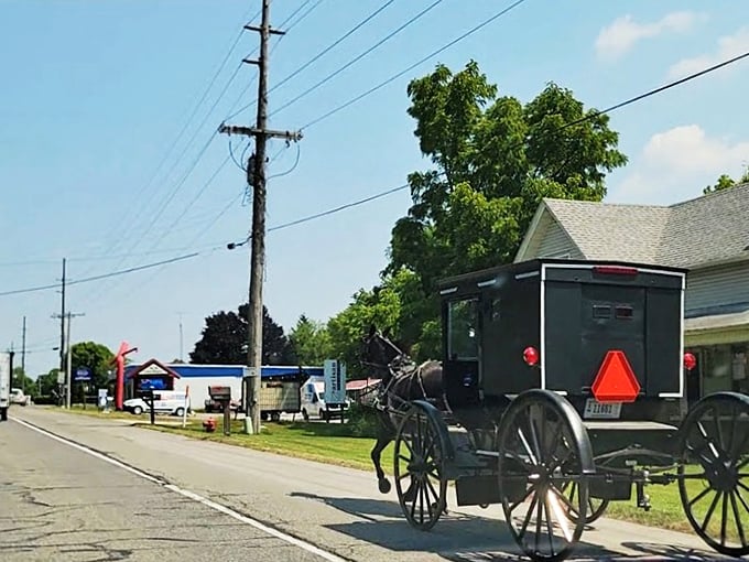 A horse and buggy navigating modern streets – the ultimate contrast between fast-paced living and taking life one trot at a time.