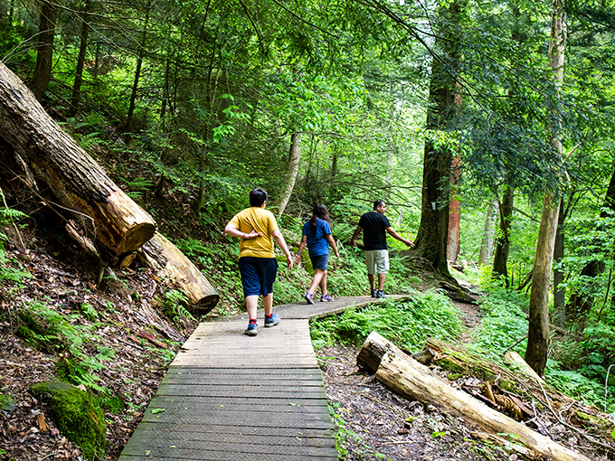 Mohican State Park: "Nature's boardwalk beckons. This trail doesn't just lead somewhere—it takes you somewhere your soul remembers."