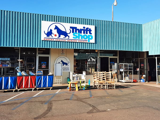 Shop here and you're not just finding bargains—you're helping furry friends find forever homes.