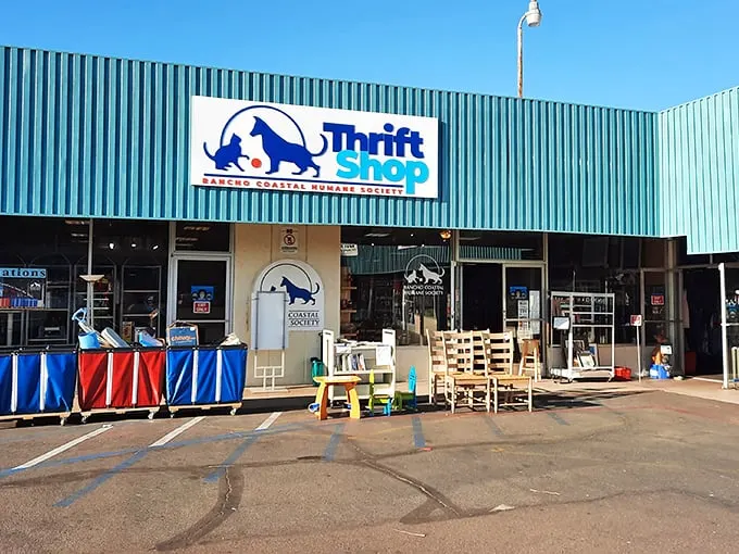Shop here and you're not just finding bargains—you're helping furry friends find forever homes.