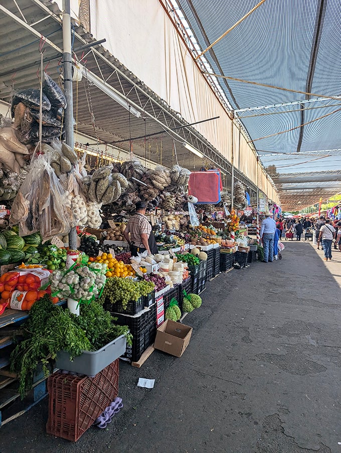 Produce paradise! These veggies didn't just fall off the truck—they practically jumped from the farm to your bag.