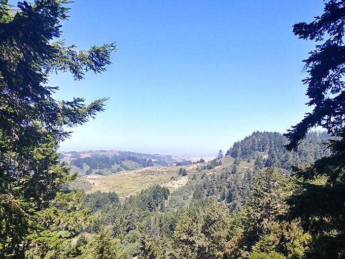 The park's trail map isn't just information—it's an invitation to adventure. Choose your own difficulty level, from "pleasant stroll" to "why did I skip leg day?"