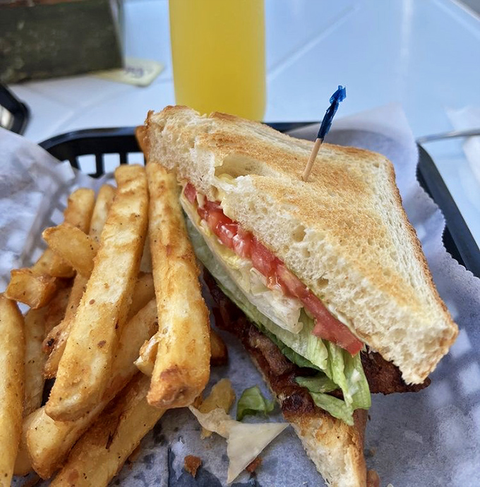 This BLT isn't playing around—crispy bacon, garden-fresh veggies, and those golden fries could make even the most dedicated beach-goer postpone their swim.
