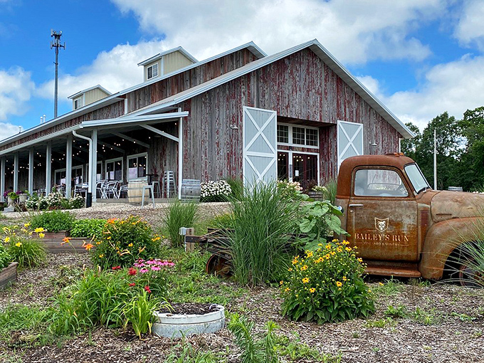Bailey's Run Vineyard combines rustic barn charm with blooming gardens – proof that Wisconsin knows its way around grapes, not just cheese.