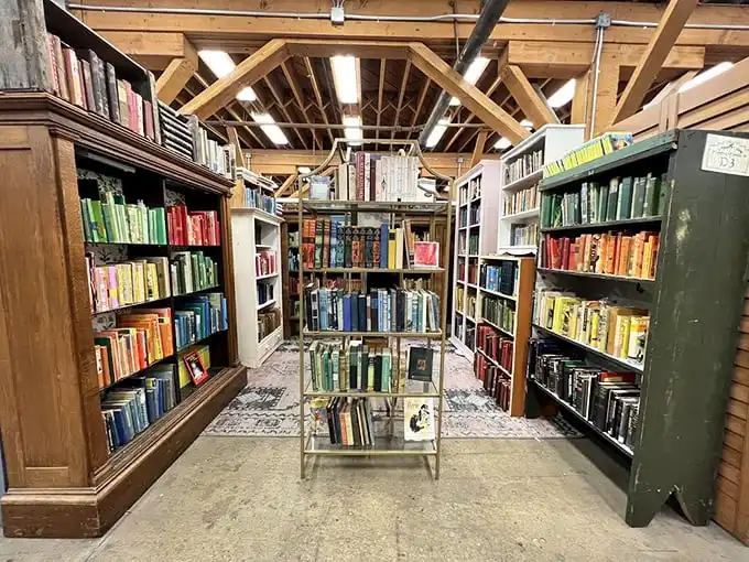 A bibliophile's paradise where every spine holds secrets from decades of forgotten adventures.