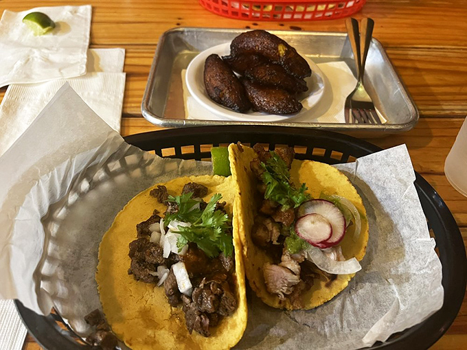 These tacos aren't just served—they're presented like edible art. The carne asada's char marks are nature's way of saying "you're welcome."