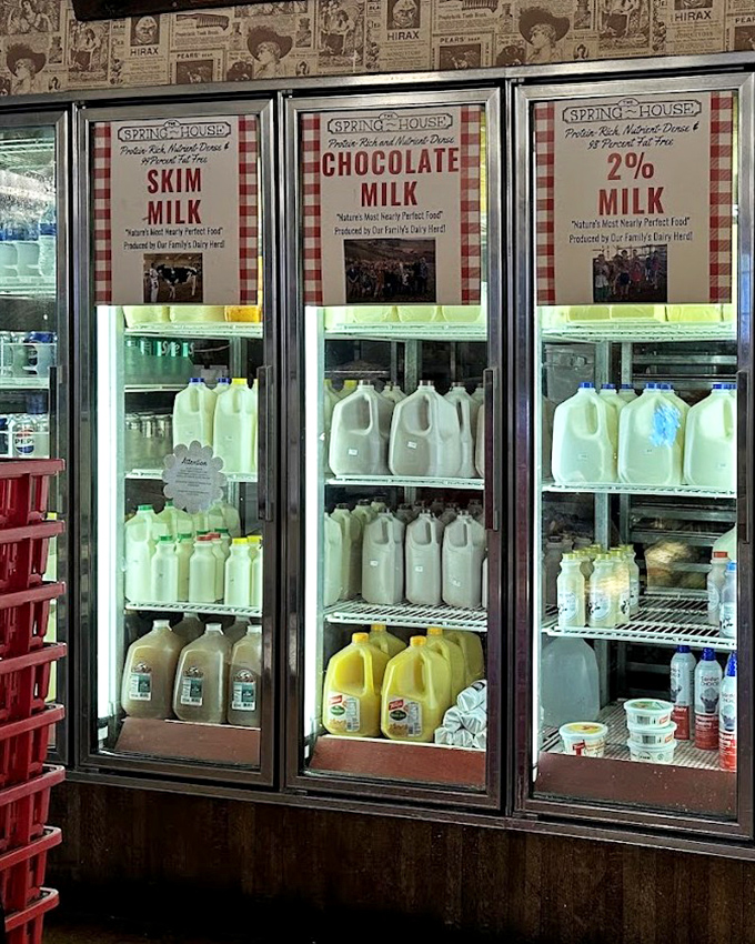 Liquid gold, bottled and ready. The legendary chocolate milk stands at attention in refrigerated cases, waiting to convert skeptics into true believers.