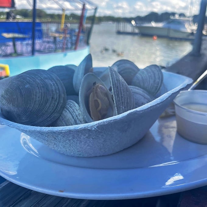 These steamed clams aren't just having a spa day—they're performing a delicious disappearing act with every dip in melted butter.