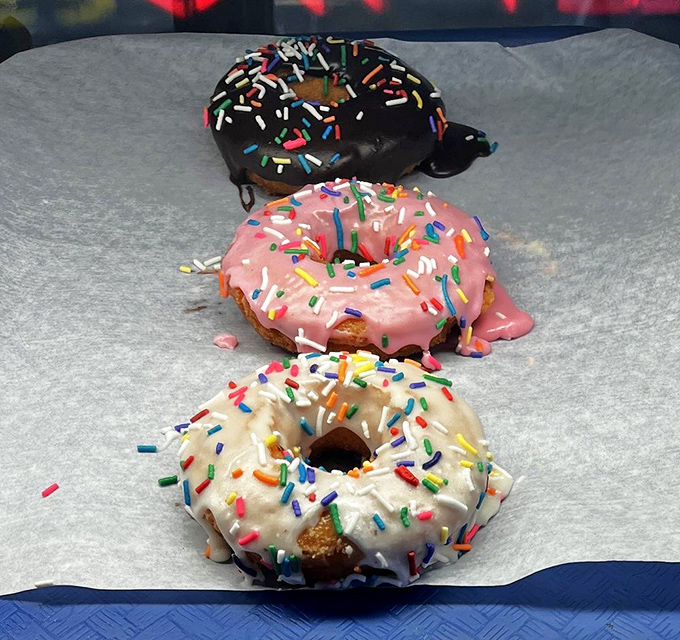 Three perfect circles of joy, each wearing a different party outfit of sprinkles and glaze—donuts as fashion statements.