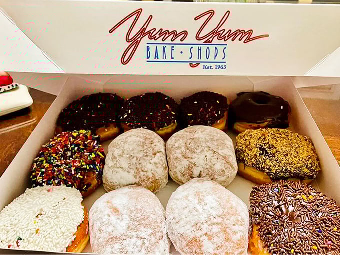 Donut diversity at its finest. This box represents the United Nations of fried dough—each variety a delicious ambassador from the republic of YumYumia.