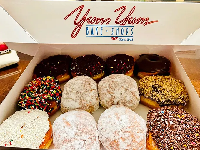 Donut diversity at its finest. This box represents the United Nations of fried dough—each variety a delicious ambassador from the republic of YumYumia.