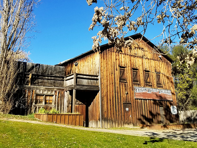 The Fallon House Theatre doesn't need digital effects to transport you – its weathered wooden facade tells stories Hollywood could only dream of recreating.
