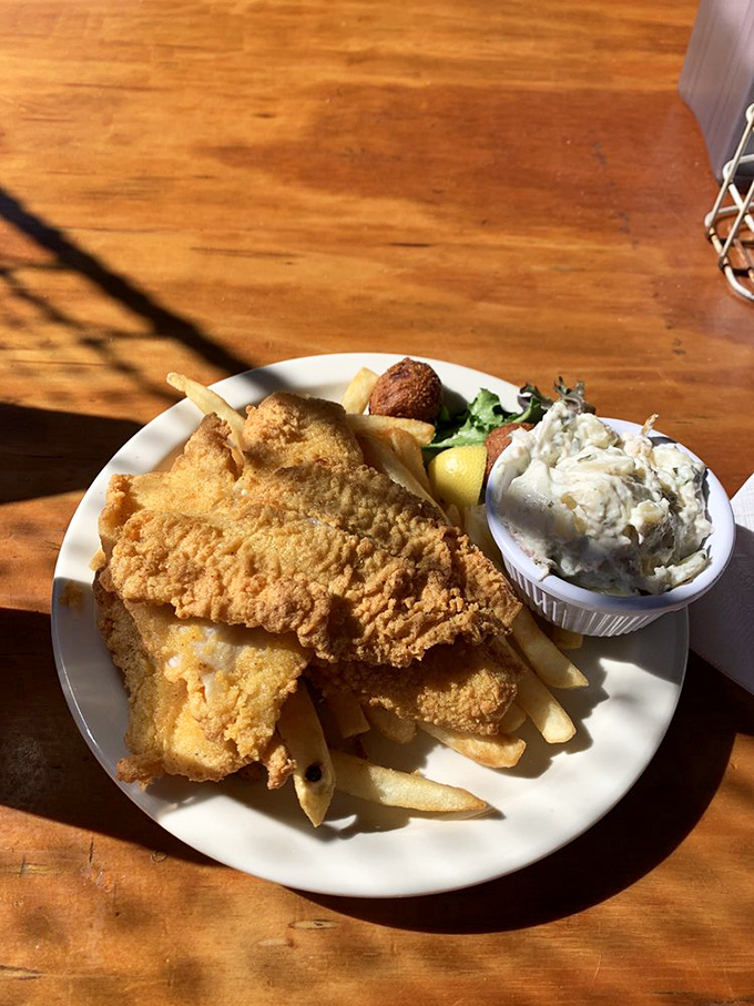 Golden-battered fish resting on a bed of hand-cut fries with a side of homemade coleslaw—the kind of plate that makes conversation stop mid-sentence.