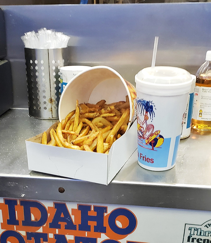 The proper Thrasher's experience: fries overflowing their cup, a generous splash of vinegar, and the boardwalk as your dining room.