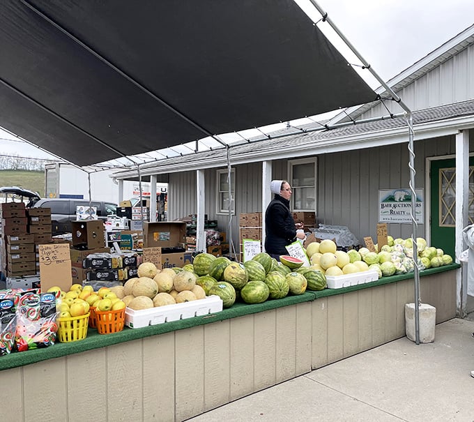 Farm-fresh bounty! An Amish vendor's stand showcases the season's best melons and produce, bringing local farms directly to market shoppers.
