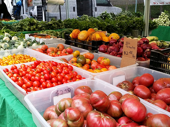 Nature's candy counter! These tomatoes didn't travel from three continents away—they probably woke up this morning in a field just down the road.