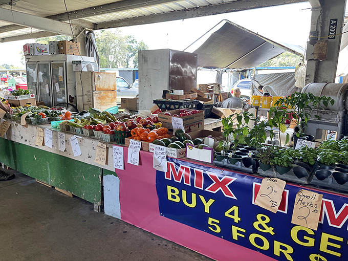 "Buy 4 & Get 5 For…" deals that would make extreme couponers weep with joy. Fresh produce that actually remembers its farm days.