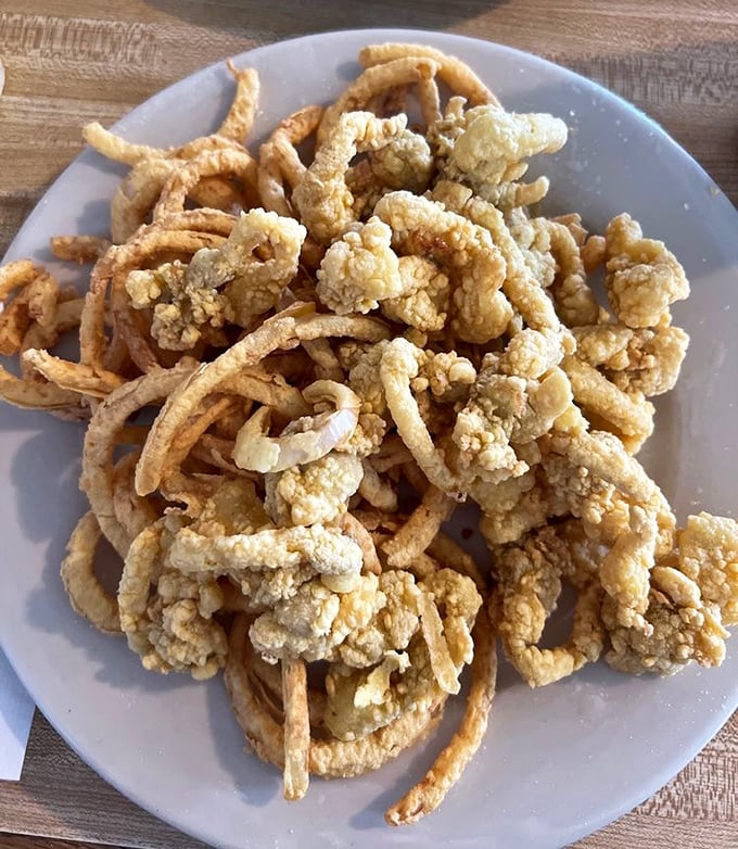 Golden-fried perfection on a plate! These whole belly clams aren't just food—they're little crispy bundles of oceanic joy worth every mile of the drive.