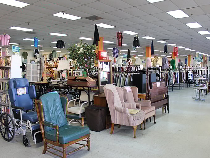 Furniture island: where mid-century meets last-century in a delightful mishmash that HGTV hosts would fight over with surprising ferocity.