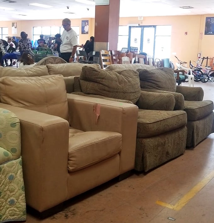 Couches with stories to tell line up like hopeful contestants, each one dreaming of becoming the centerpiece in someone's living room redesign.
