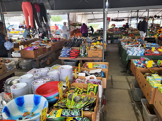 Organized chaos at its finest—this stall offers everything from household necessities to "where did you find that?" conversation starters.