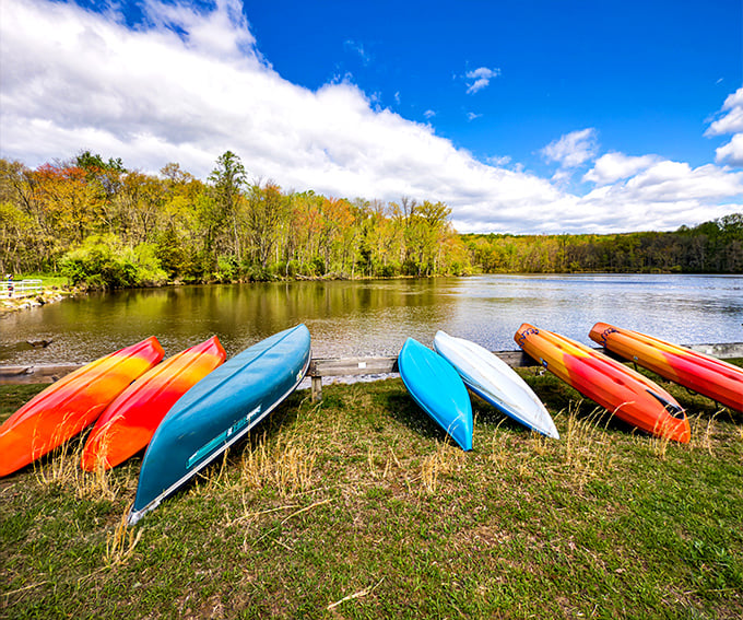 Kayak lineup that looks like a Crayola box melted by the shore. Pick your color and paddle into serenity.