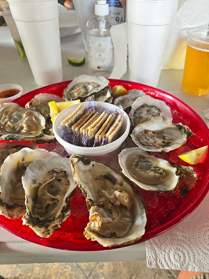These oysters aren't just served—they're presented like briny jewels on a crimson platter, each one a perfect taste of the Gulf's bounty.