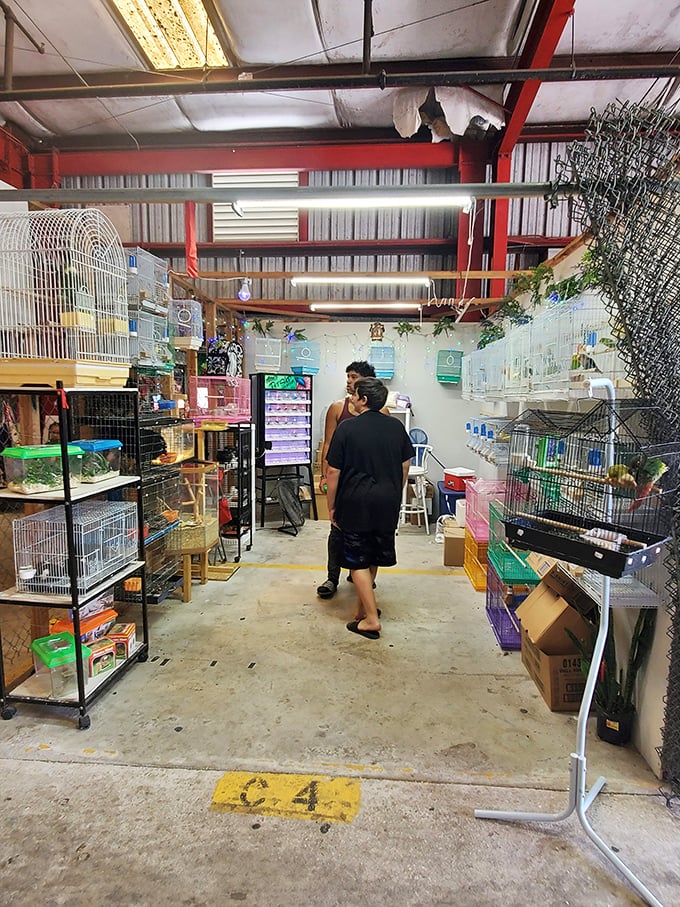 Bird cages and pet supplies line this specialized corner of the market. For when you need a feathered friend and all their accessories.