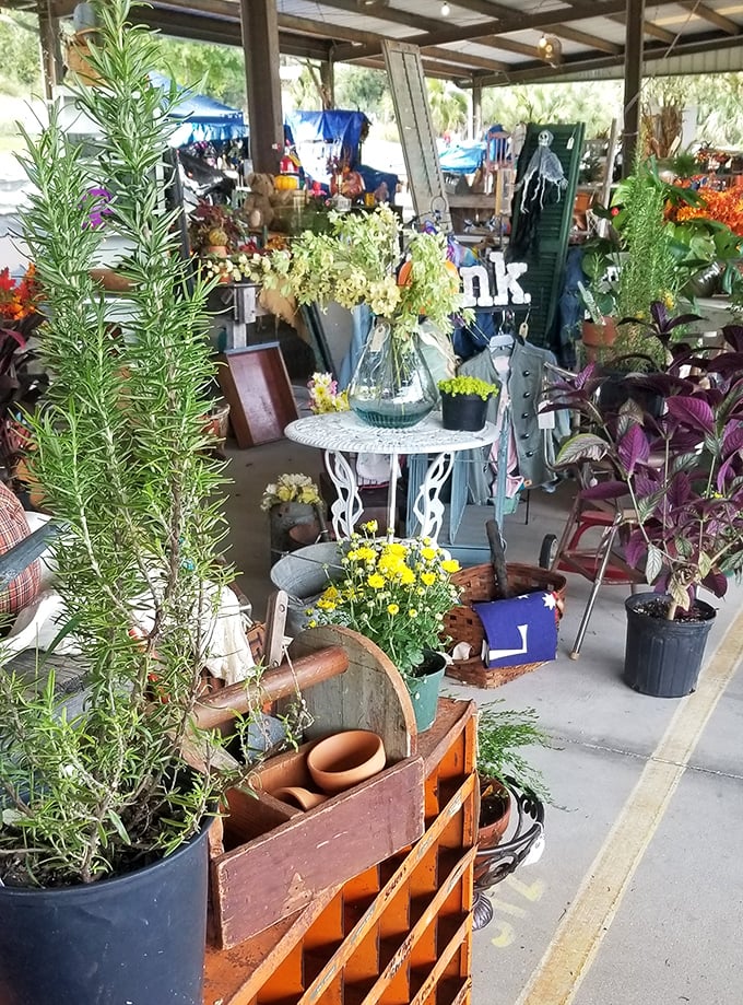 Garden dreams take root here. This plant stall offers everything from practical rosemary to whimsical decorative touches for your outdoor sanctuary.