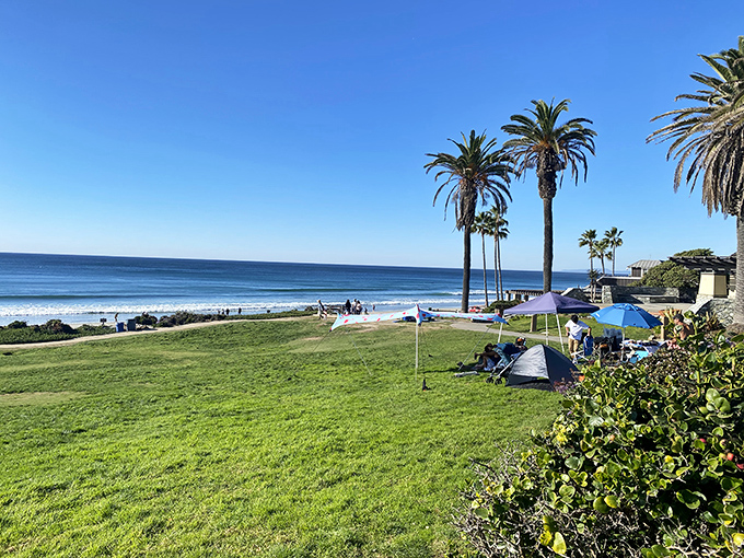 Powerhouse Park offers that perfect blend of grass and ocean—like having Central Park and Malibu in one convenient location.